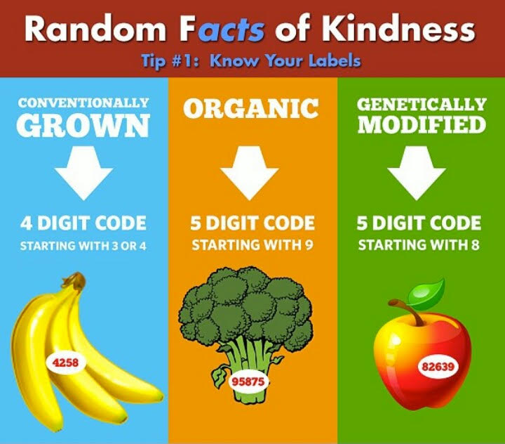 Know your Labels! - Actual Activists