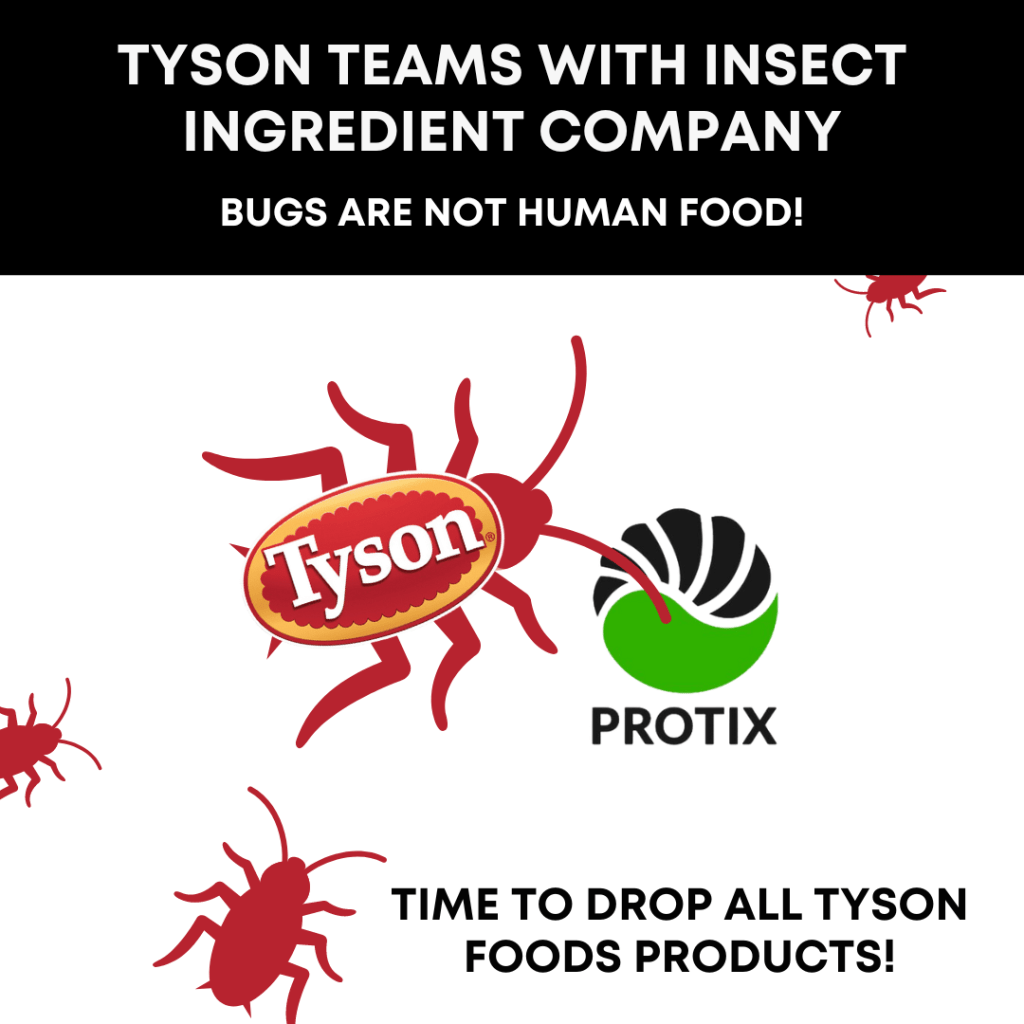 Bugs are not human food!! - Actual Activists