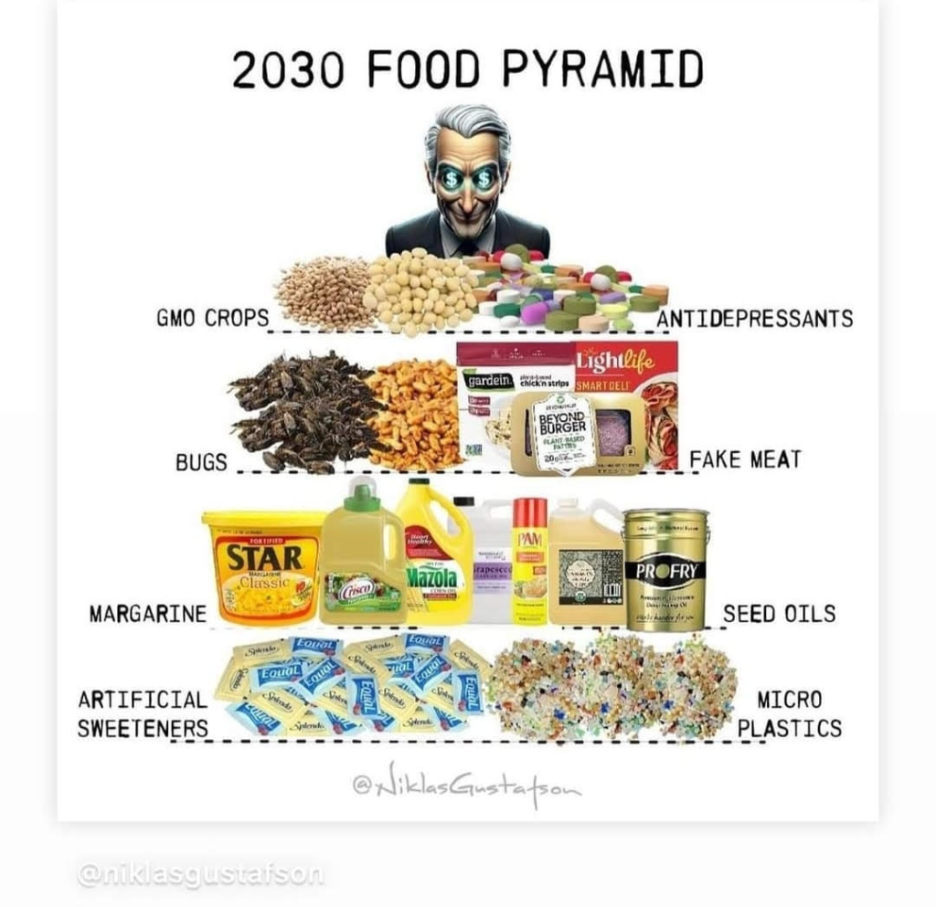 2030 Food Pyramid - Actual Activists