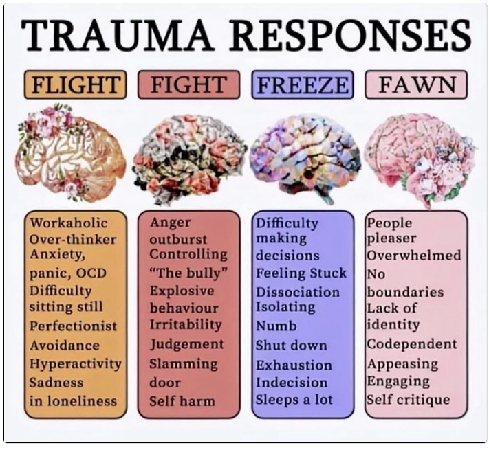 Know thyself… What is your trauma response? - Actual Activists